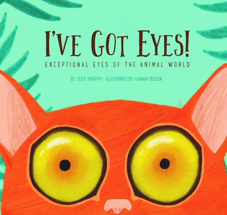 25 Best Picture Books with Rich Vocabulary - That's So Montessori