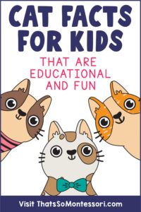 33 Cat Facts for Kids: Fascinating Insights about Felines - That's So ...