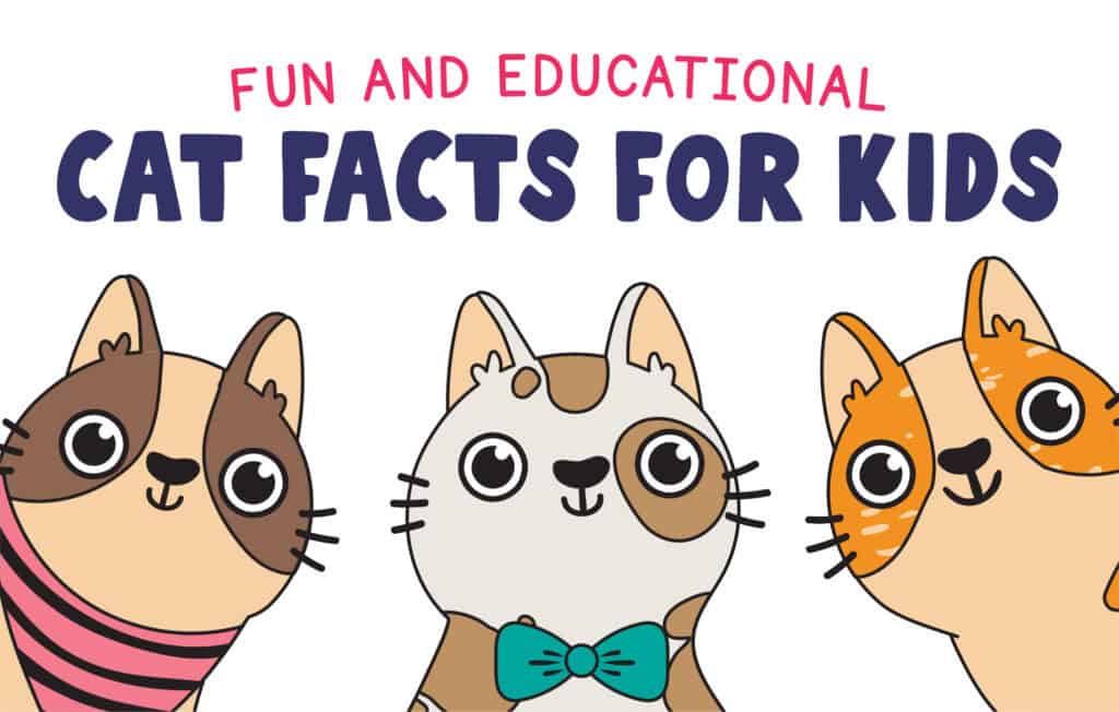 Rebus Puzzles, Jokes & Facts - That's So Montessori